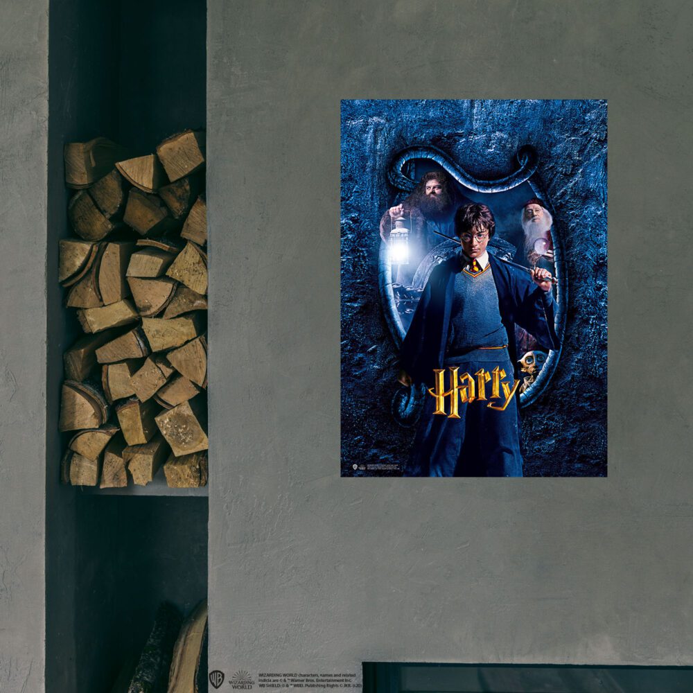Wizarding World - Harry Potter Poster - Hogwarts Character, Harry B ...